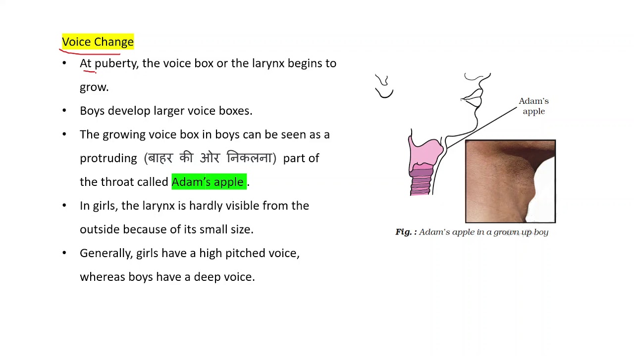 Science 8 Chapter 10 Reaching the Age of Adolescence #Changes At ...