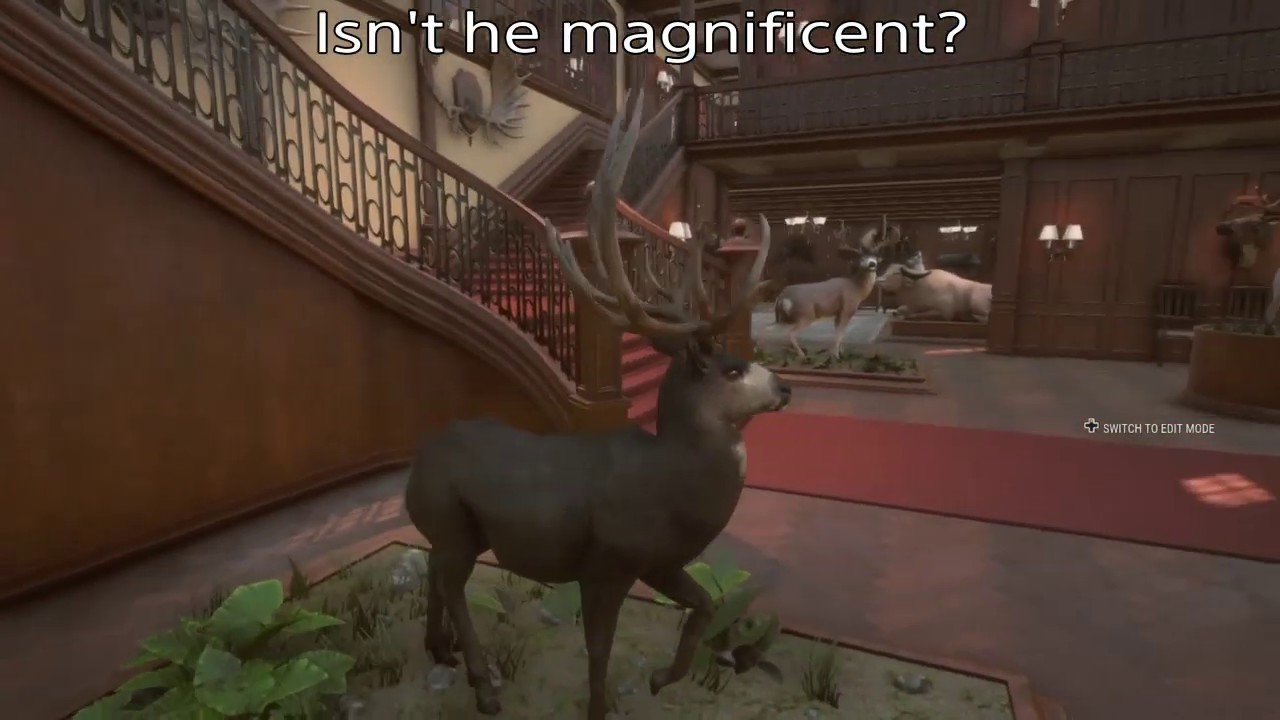 My FIRST 1000 score animal - Mule Deer! But.. Is it only a glitch ...