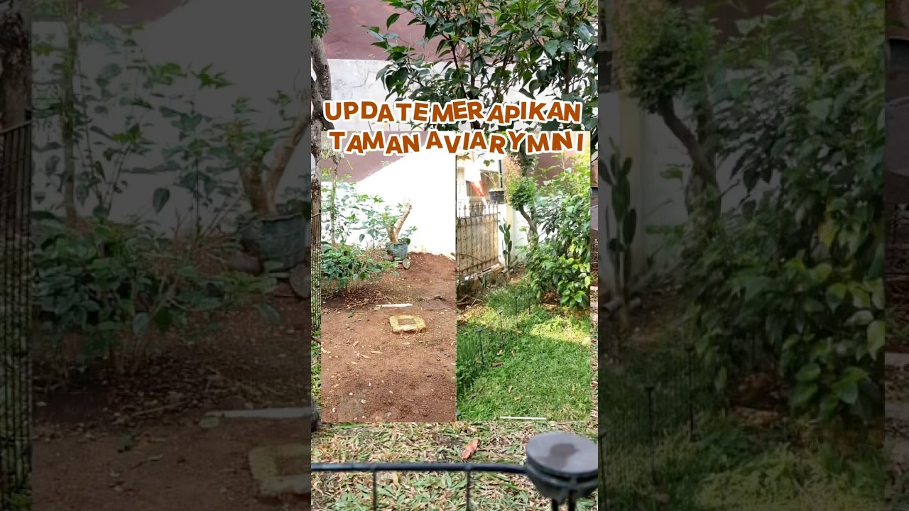 Update rapikan Taman Aviary Mini #aviarydepanrumah - YouTube