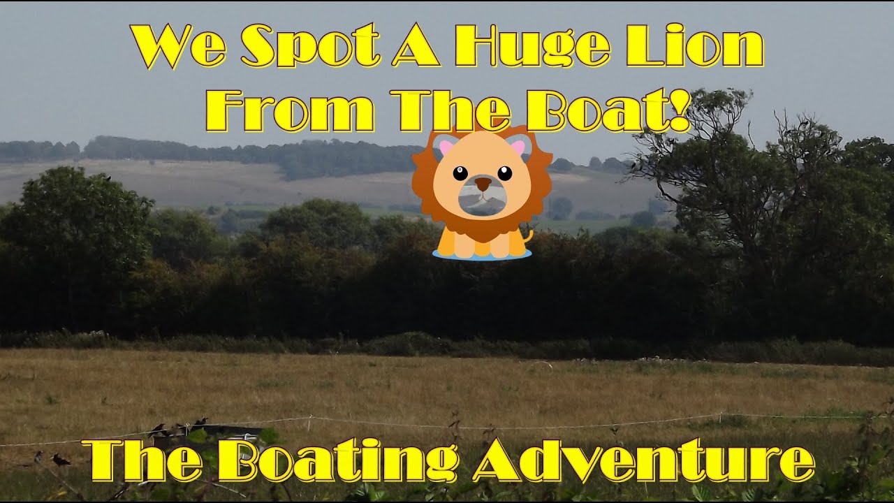486. We Spot A Huge Lion from The Boat! -The Boating Adventure - YouTube