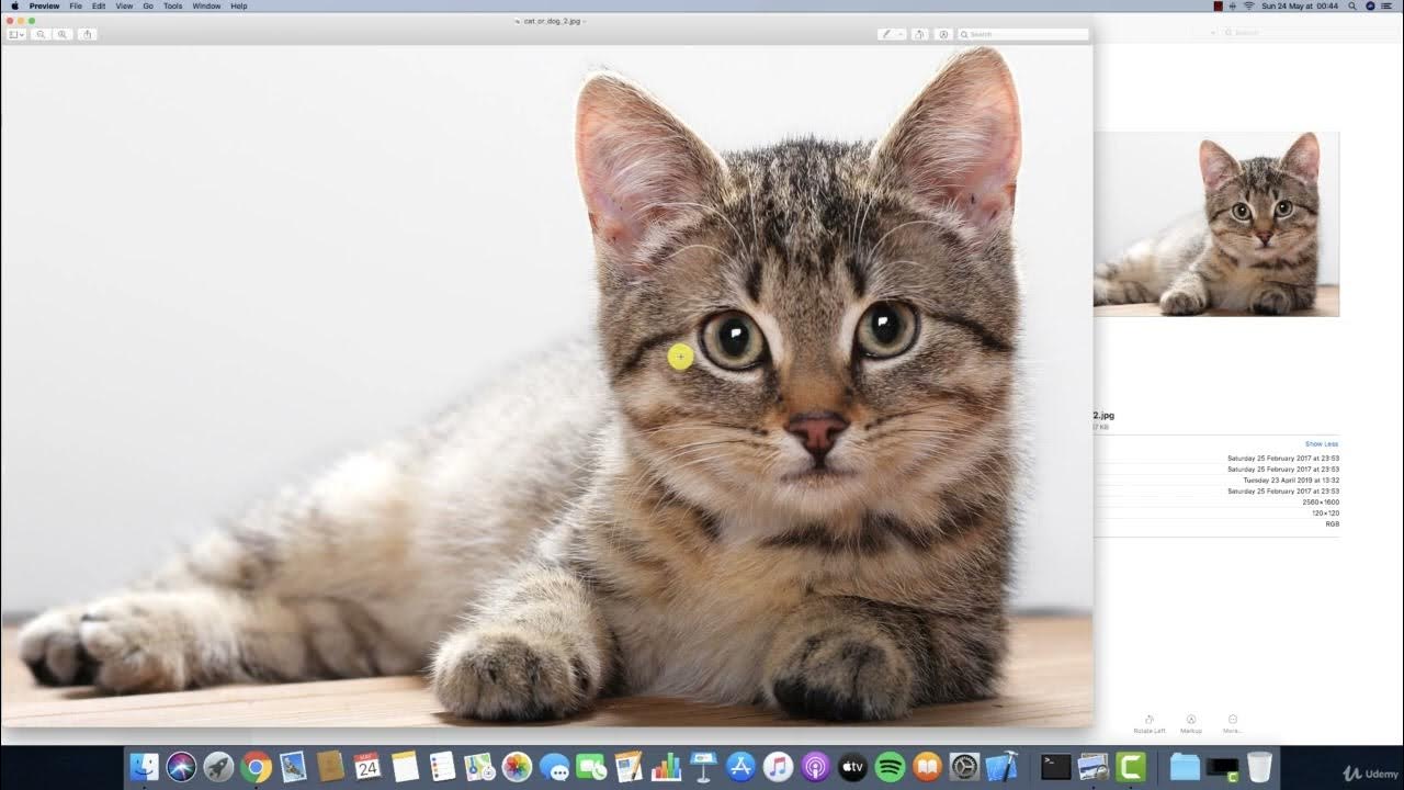 Building a Convolutional Neural Network (CNN) in Python – Step 1 ...