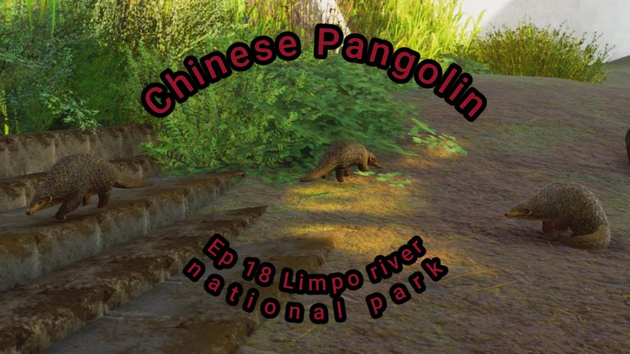 Creating a Cute Chinese Pangolin Habitat: Epic Speed Build in Planet ...