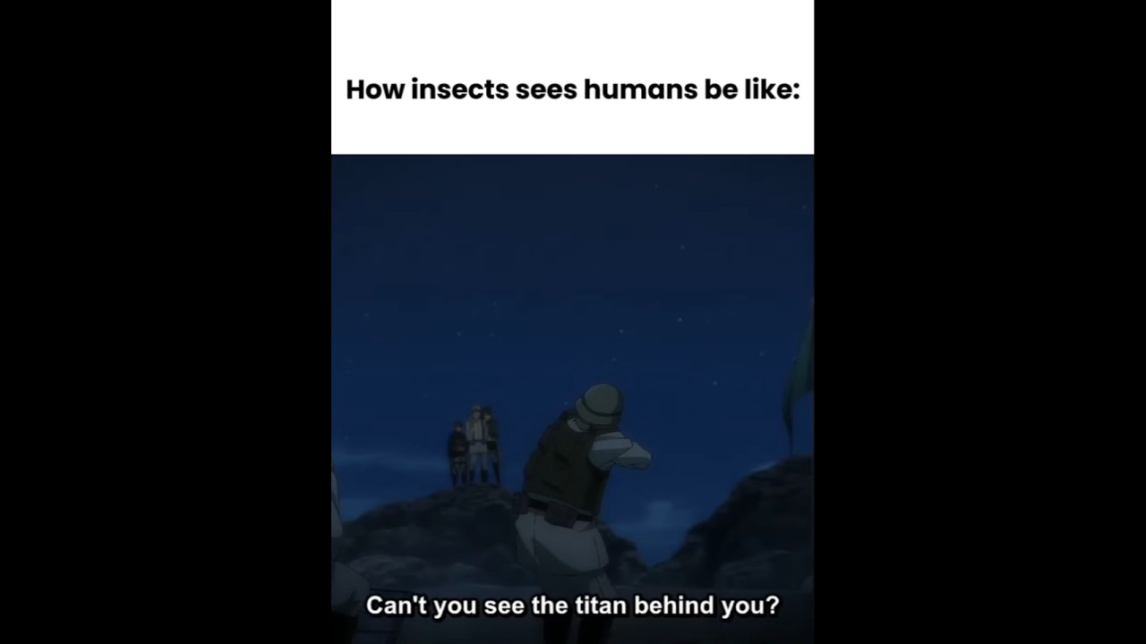 How insects sees humans be like: - YouTube