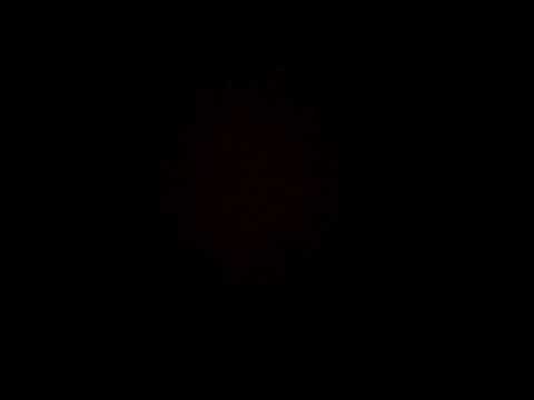 1 dakikalık ilk videom şarkı videosudur