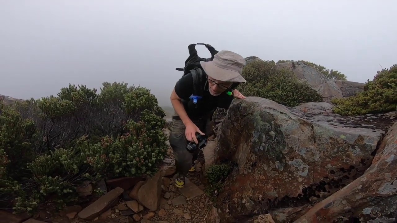 Arm River Track & Mt Ossa, Tasmania - YouTube