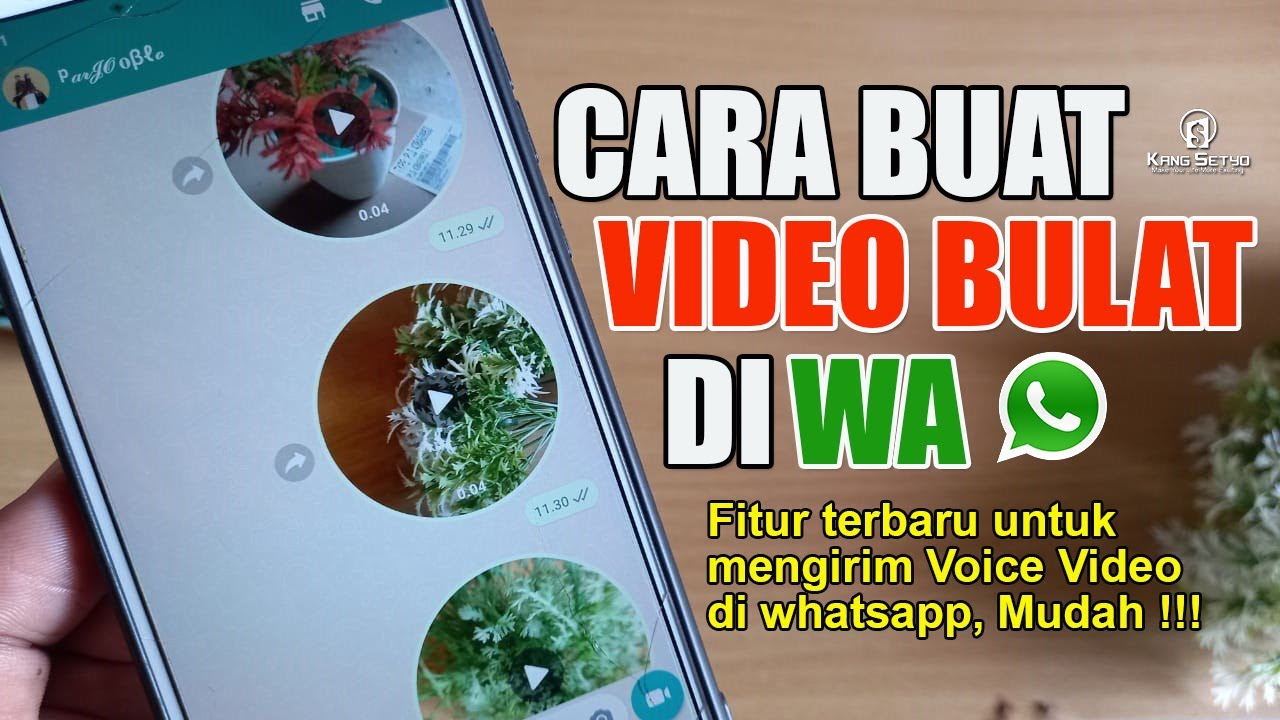 Cara Buat Video Bulat di Whatsapp - YouTube