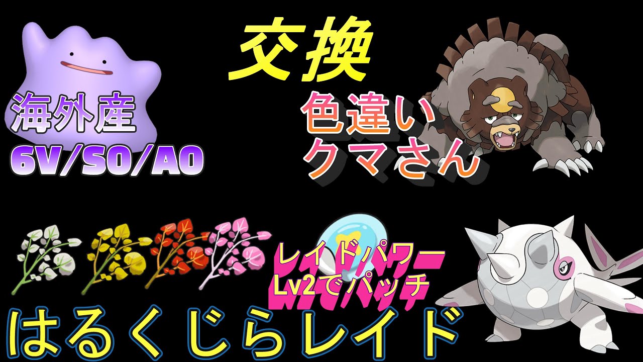 ポケGOではパルデアが解禁 数体限定 色違いガチグマ 海外産 6V S0 A0メタモン 配布 「Pokémon」「ポケモンSV」 9月5日 ...