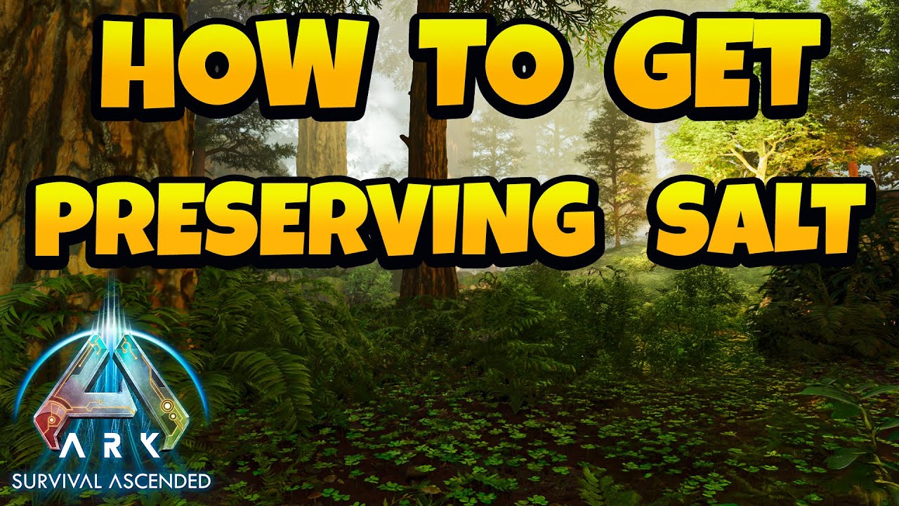 How to make Preserving Salt in Ark Survival Ascended - YouTube