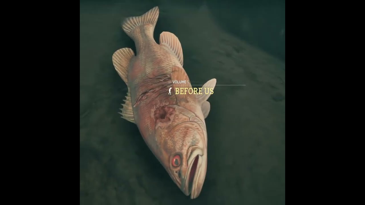 Evolution of human beings 10000000 years ago - YouTube