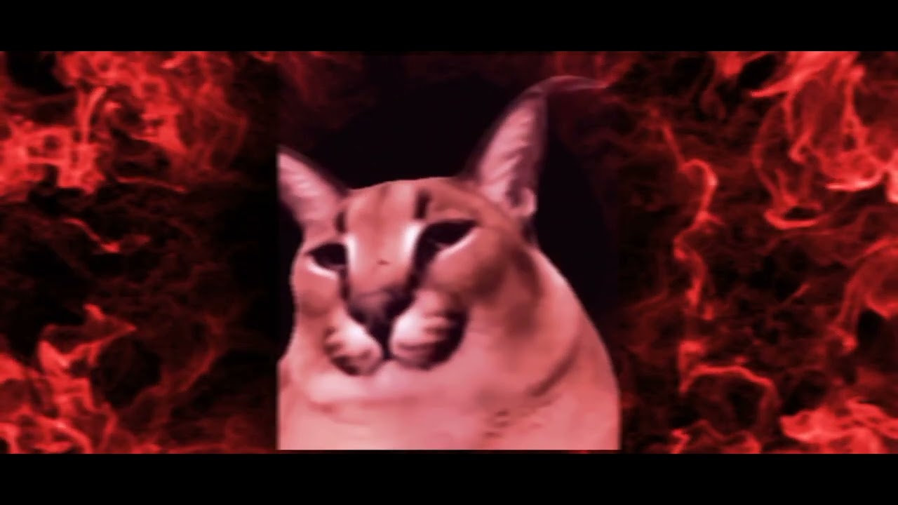 FLOPPA DANCE - YouTube