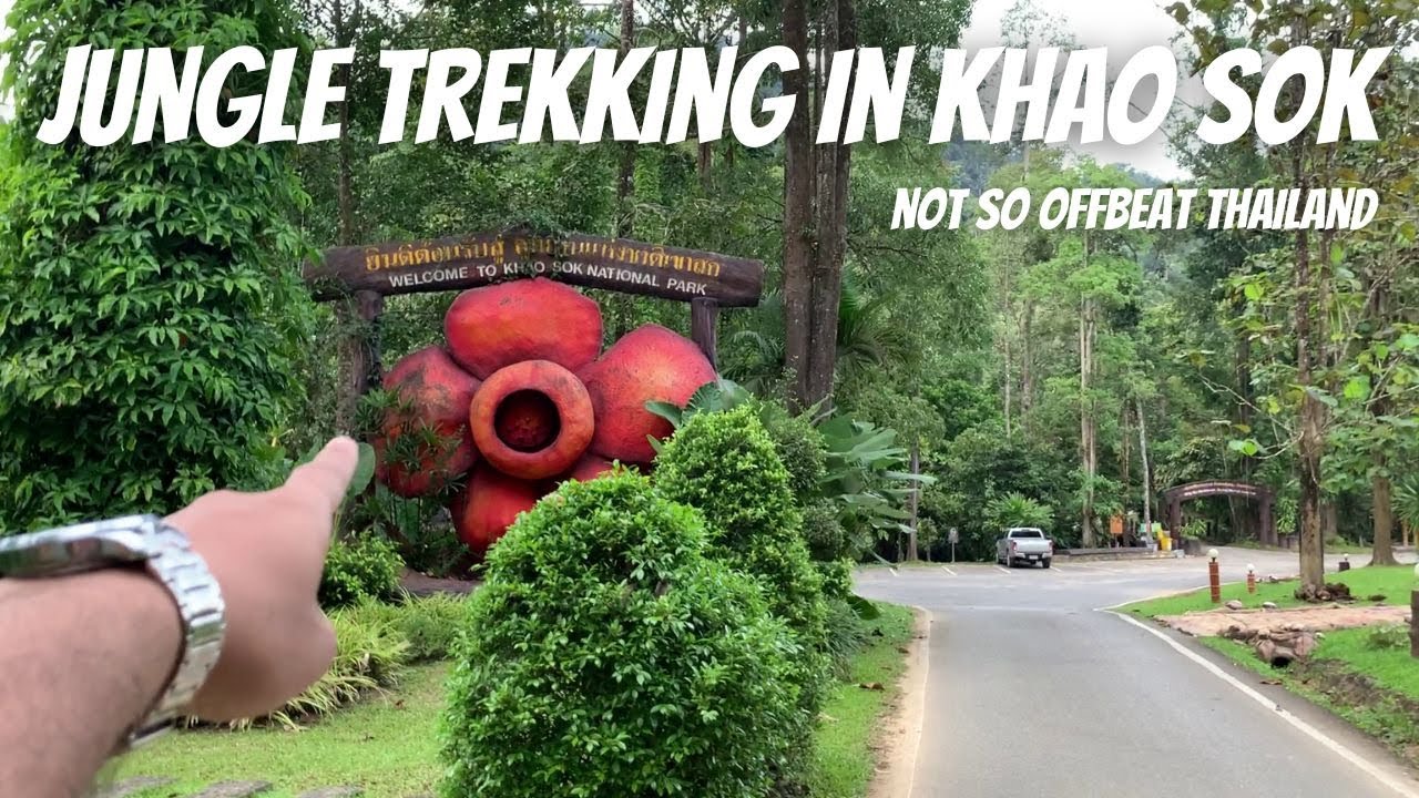 How to reach Khao Sok National Park - Travel Day Vlog- Jungle walk ...