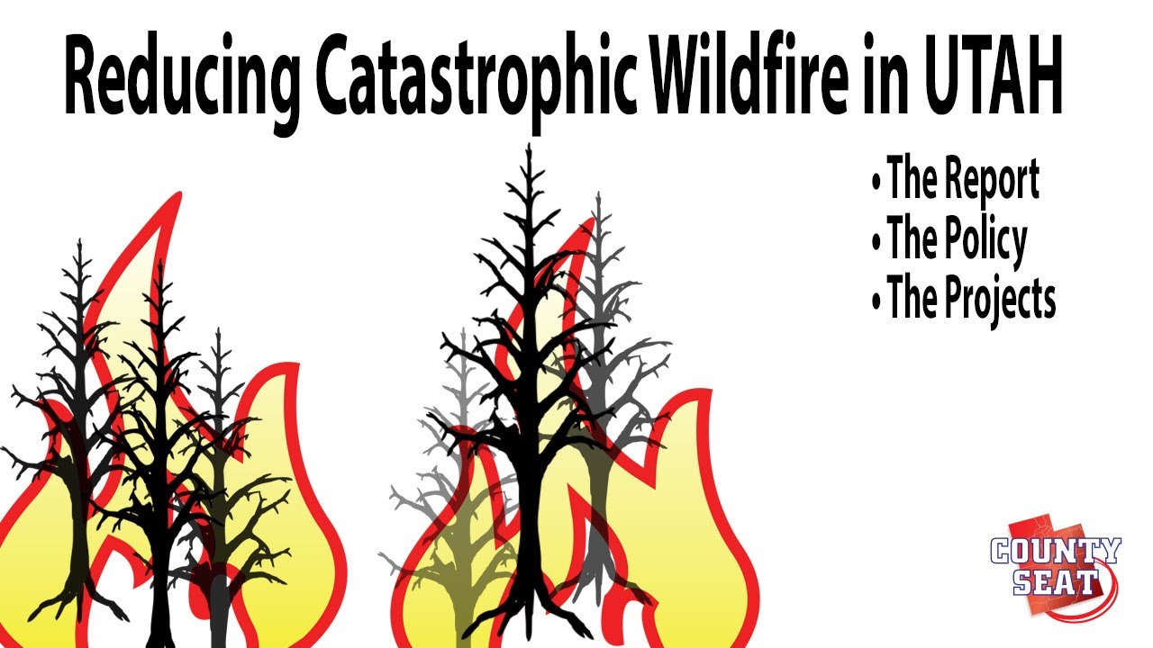 Reducing the Fuels that drive Wildfire An ounce of prevention is worth ...