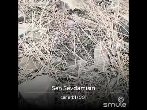 Sen sevdamısın Caner avcı