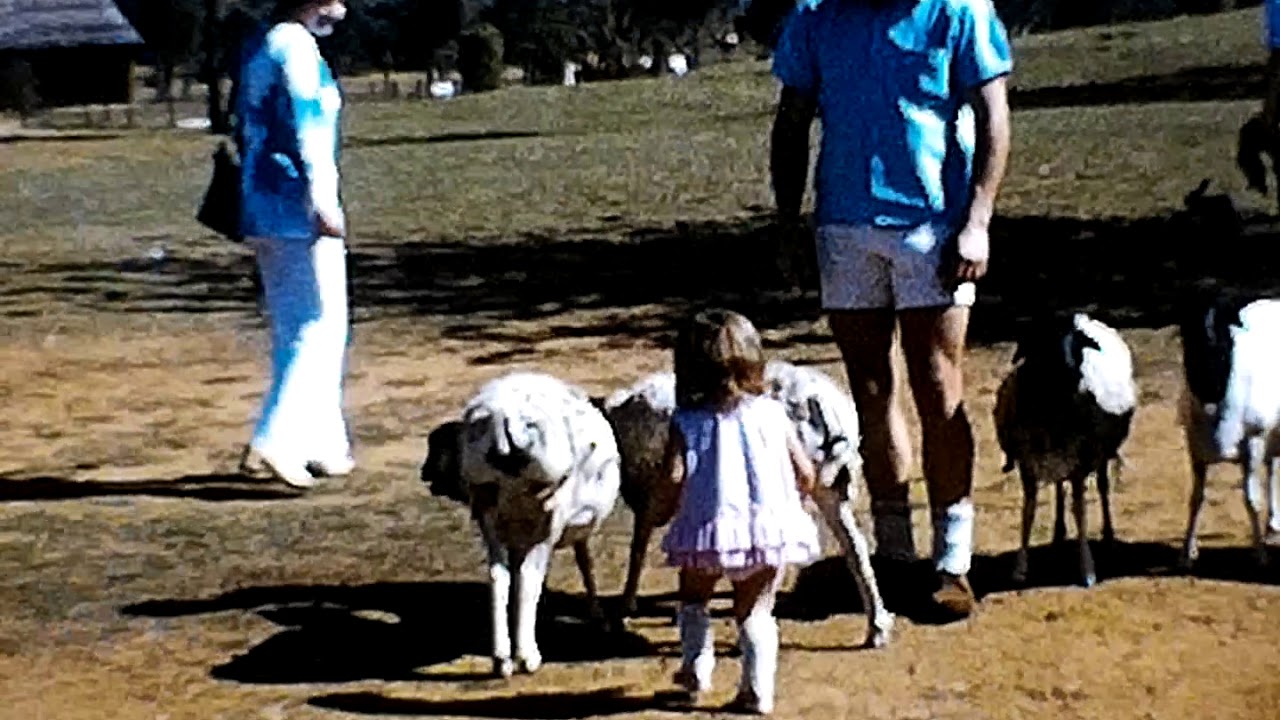 Benoni Bunny Park - YouTube