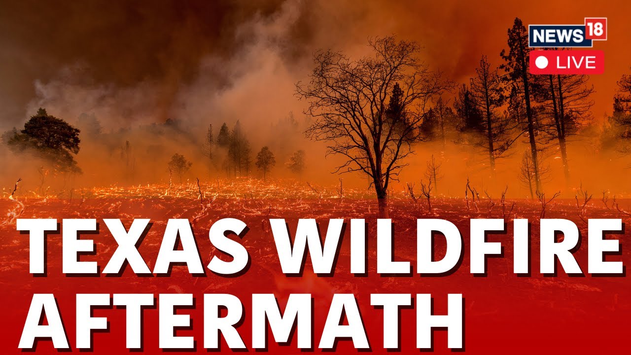 Texas News LIVE | USA News | Texas Wildfires Aftermath LIVE Updates ...