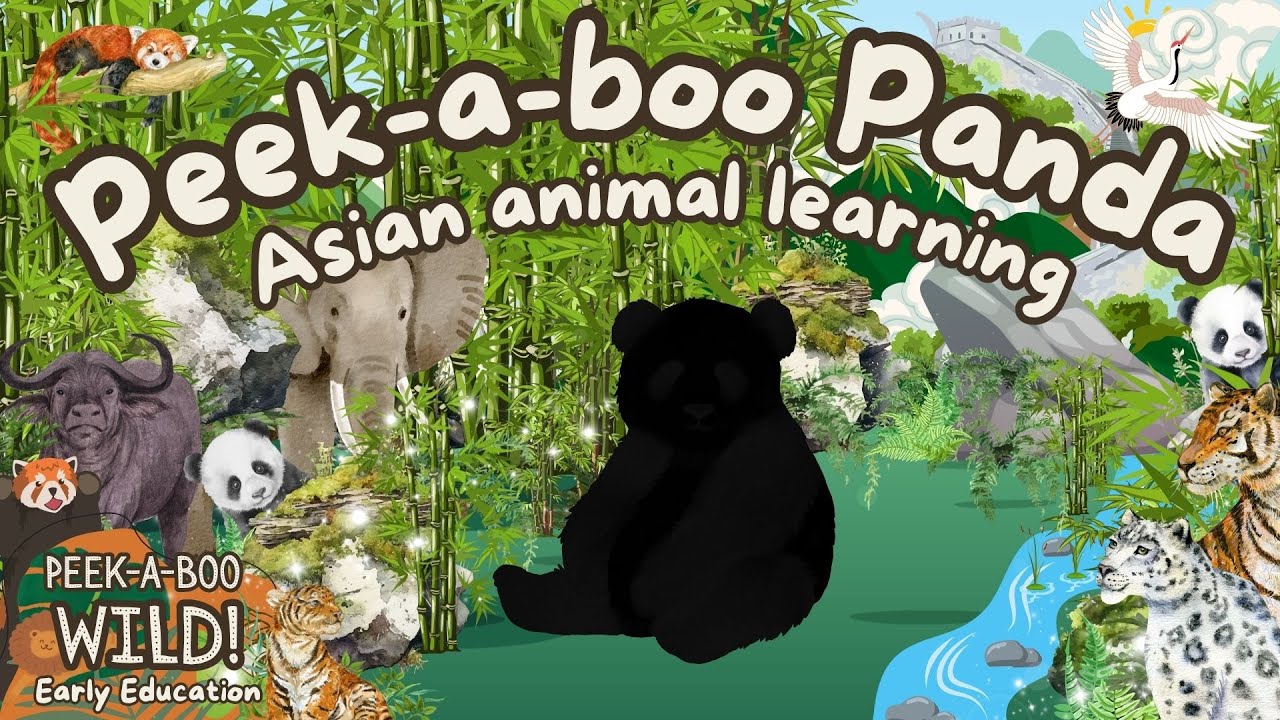 Peek-a-Boo Panda | Tigers, Elephants & More | Asian Animal Learning for ...