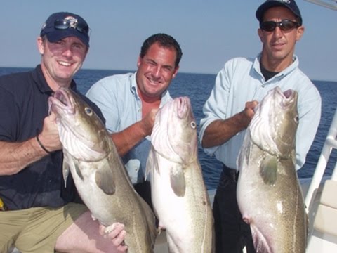 Cod Fishing - Stellwagen Bank, MA - YouTube
