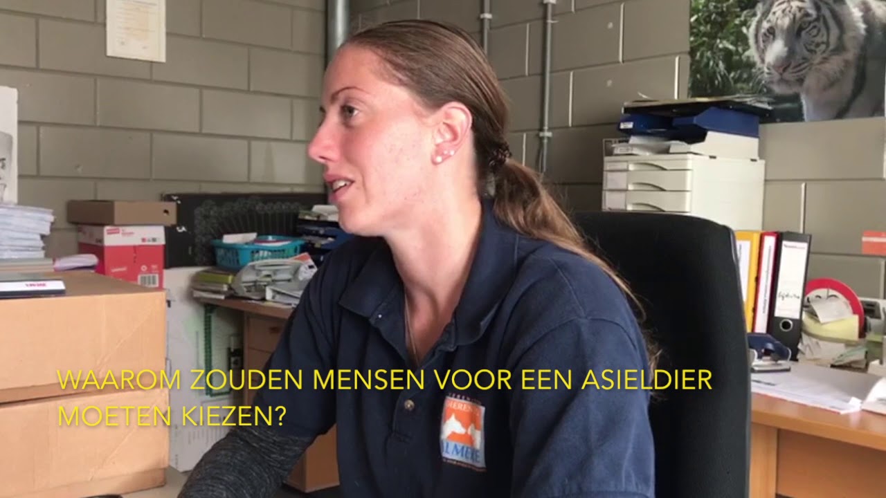 DIERENASIEL ALMERE - YouTube