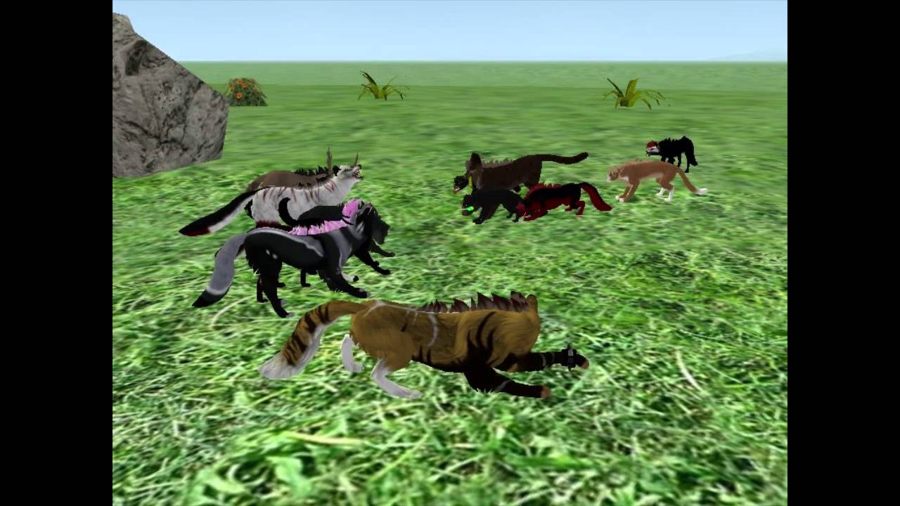 Kitties Vz Benevolent Wolf Pack ~ Dance Off - YouTube