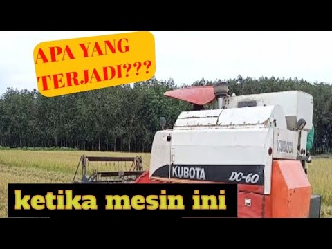 Cara panen padi super cepat , pakai mesin ini
