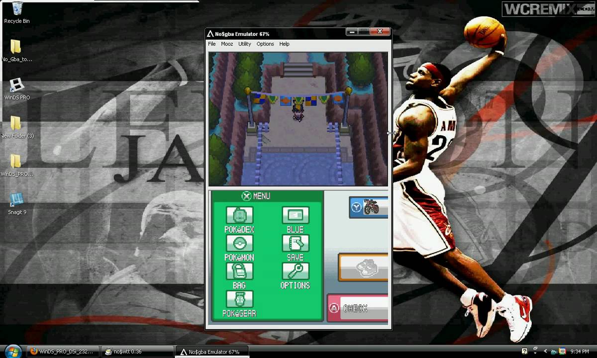 HOW TO GET AND USE WIN DS PRO IN ENGLISH!!! - YouTube