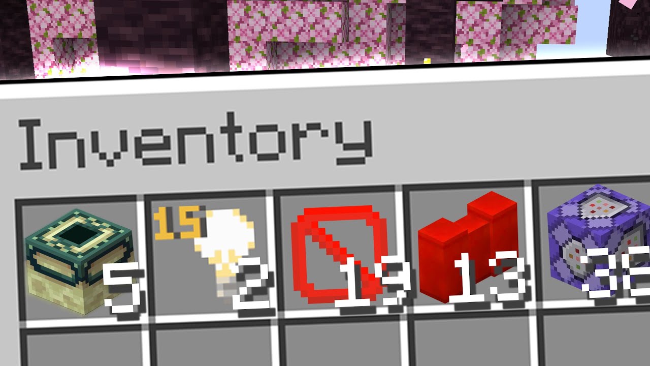 I Collected Every Illegal Item In Minecraft Hardcore - YouTube