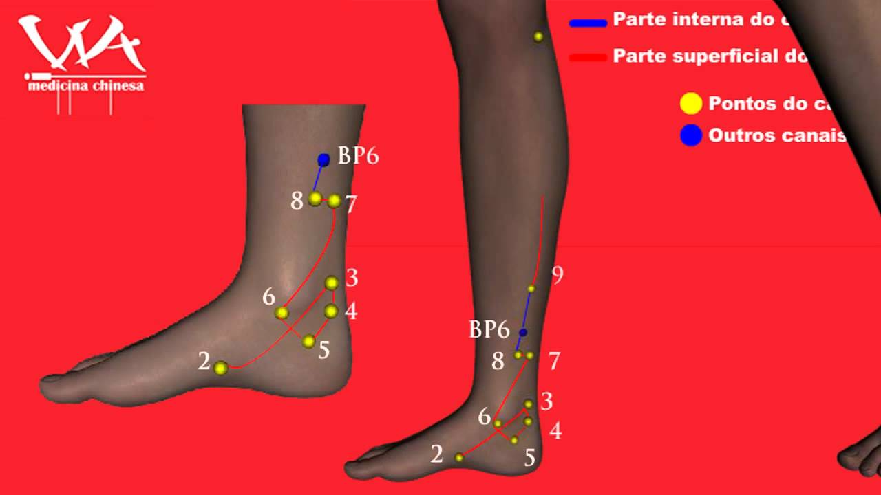 Meridiano do Rim - Zu Shao Yin Shen Jing - YouTube
