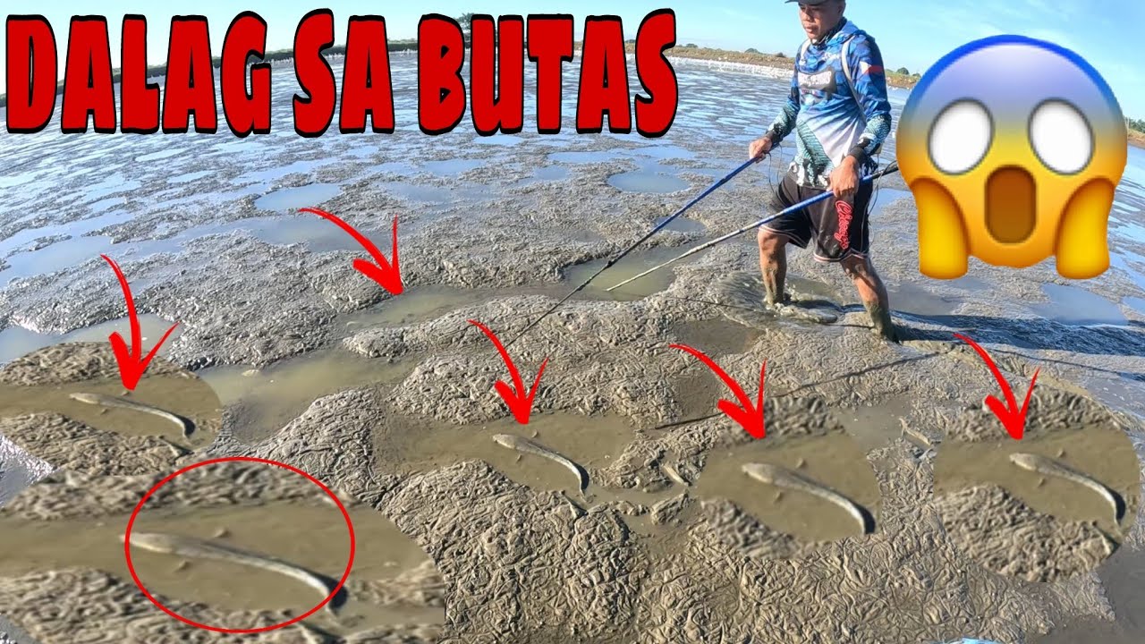 Di kami makapaniwala sa mga butas butas grabe dalag ang nagkukubli dito ...