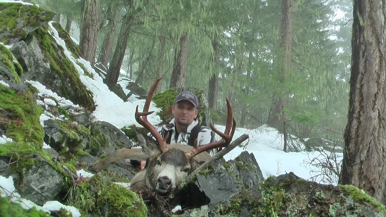 blacktail deer hunting - YouTube