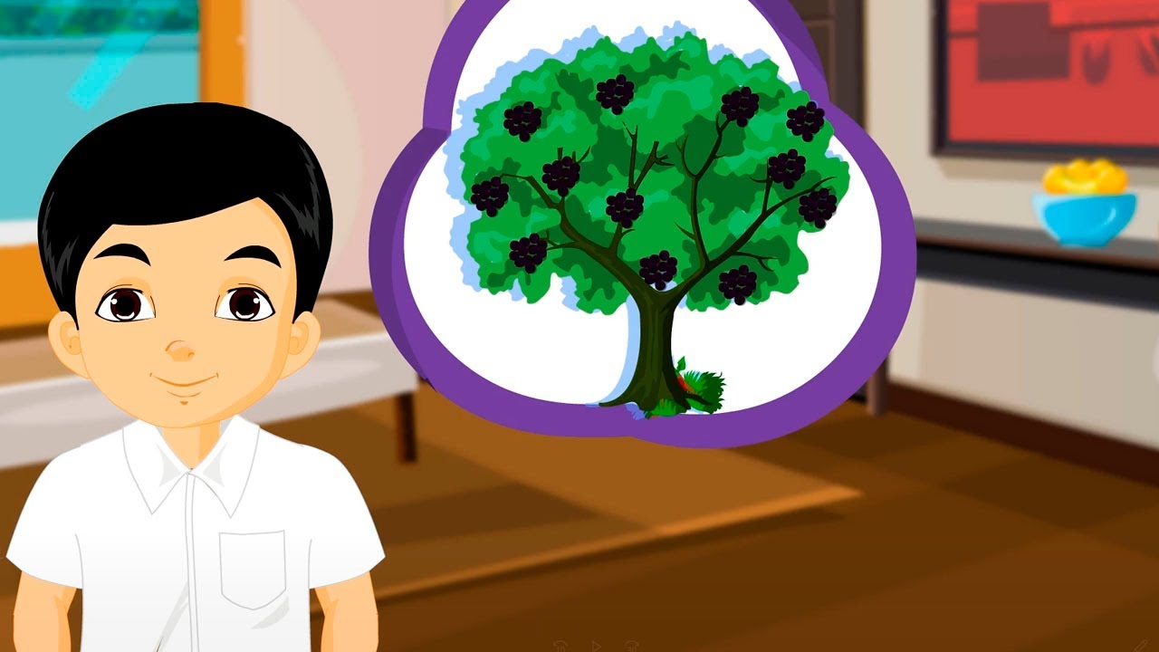 Blackberries–The Fruit - English Story I Bedtime Story I Kids Stories I ...