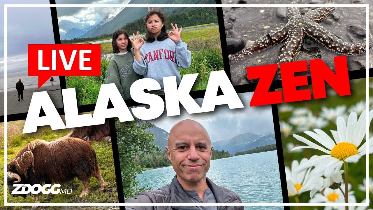 Sunday Zen (LIVE): ALASKA! - YouTube