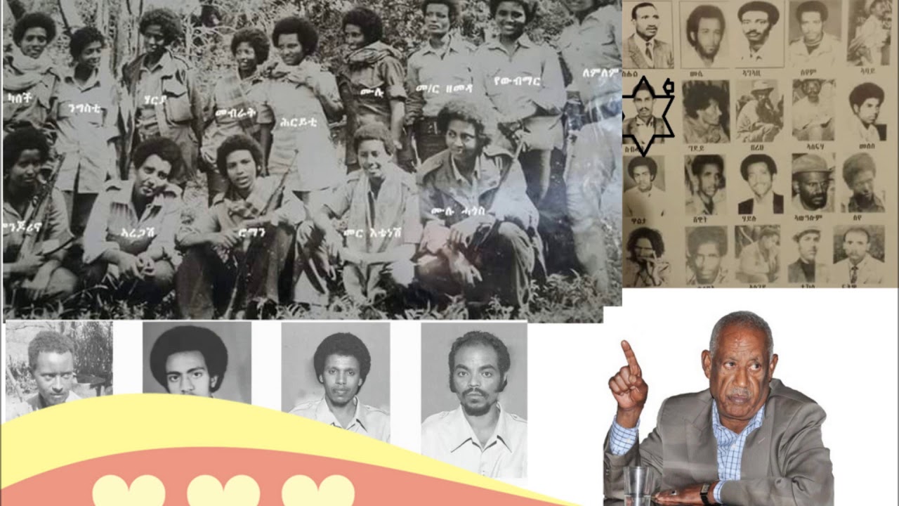 Interview with Aboy Sebhat Nega Part I - YouTube