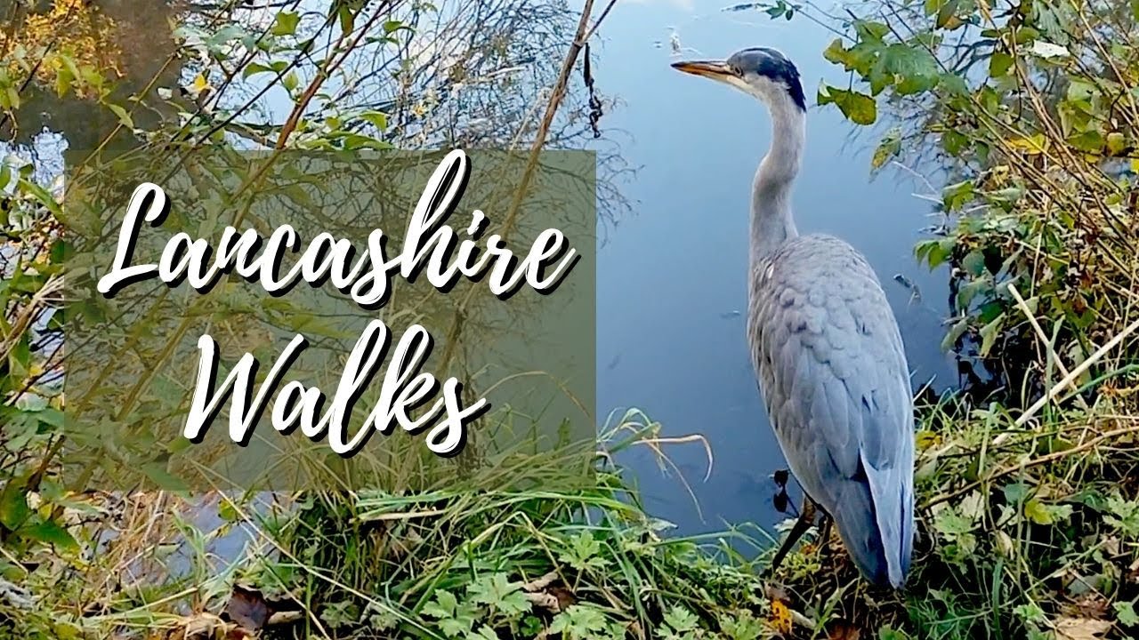 Lancashire Walks | Wandering around Lancaster | Lancaster University HD ...