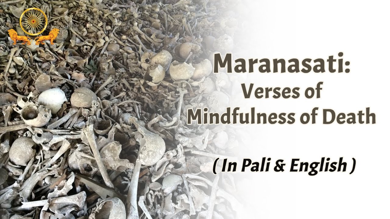 Maranasati: Verses of Mindfulness of Death ( Pali & English Chanting ...