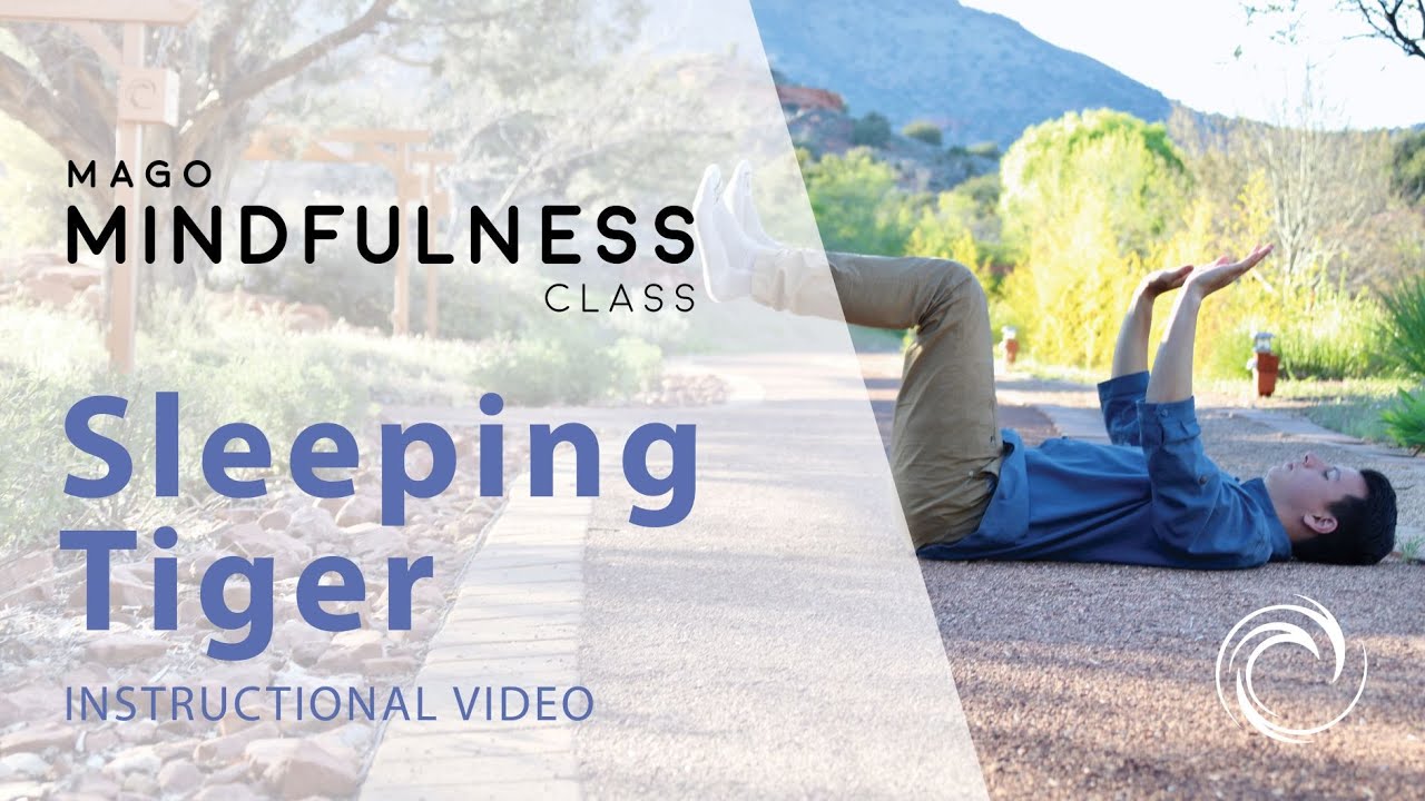 Core Strengthening: Sleeping Tiger Posture | Mago Mindfulness ...
