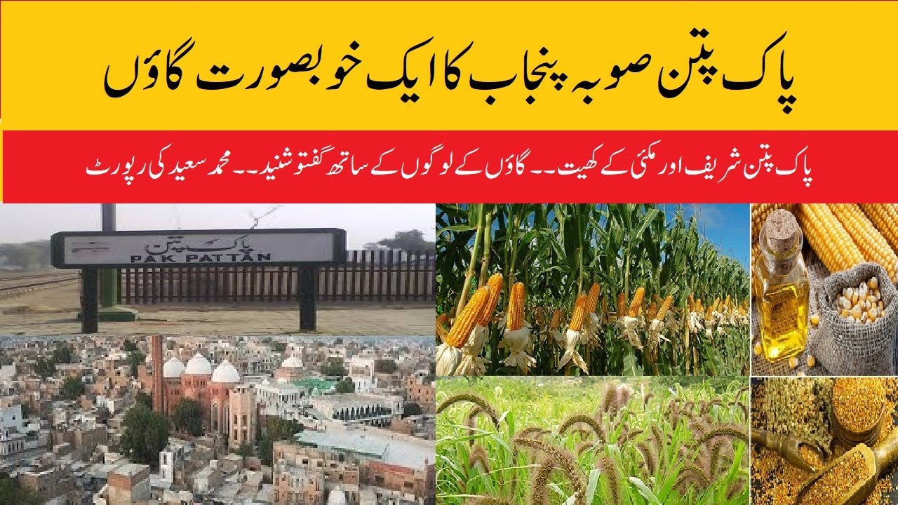 Pakpattan a beautiful village in Punjab province II Pakpattan Sharif 38 ...