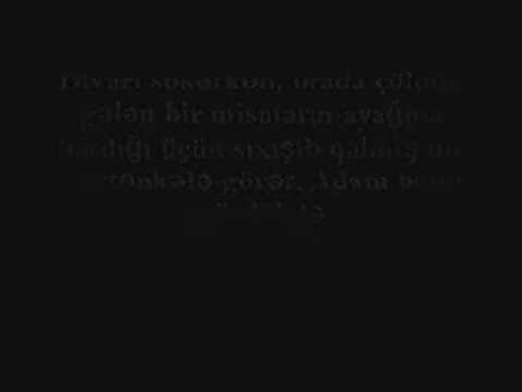 Kərtənkələnin sadiqliyi - hekayəsi