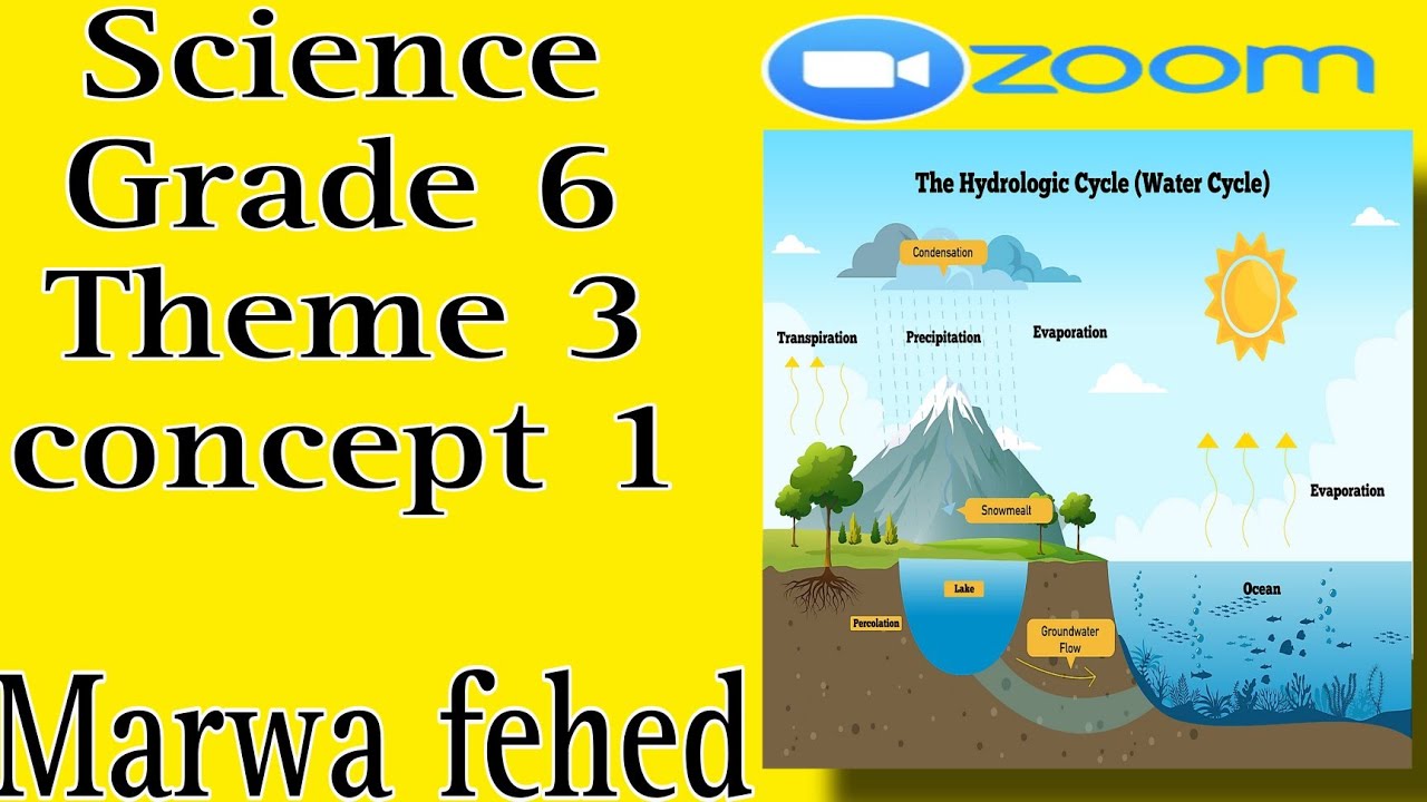 science 6 theme 3 concept 1 lesson 1 - YouTube