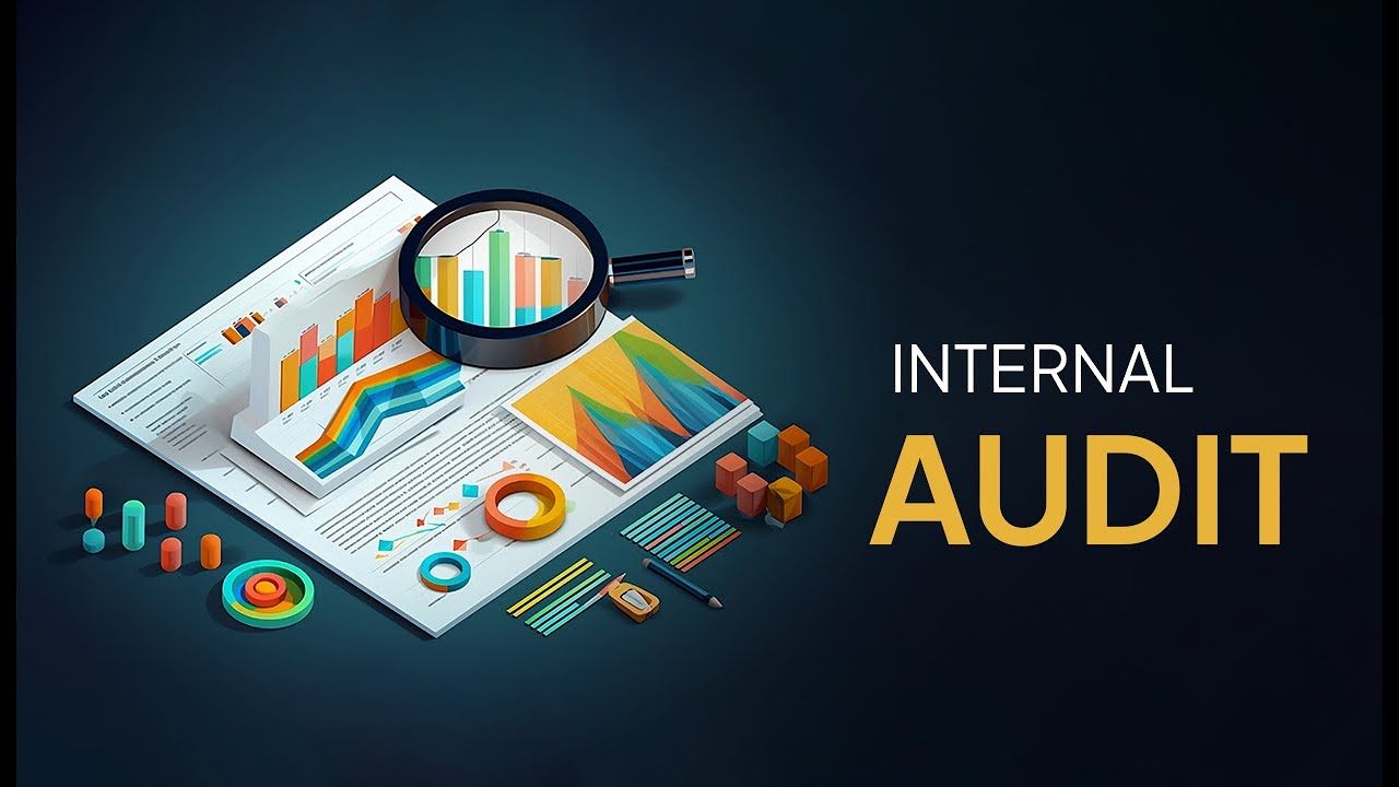 Internal Audit Animation (NFPC) - YouTube