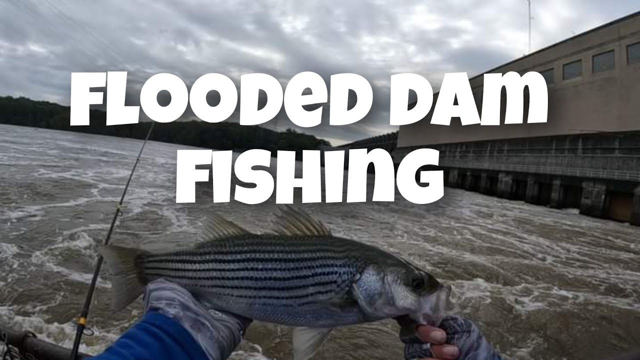 FISHING A FLOODED DAM (LOADED) WITH BIG FISH - YouTube