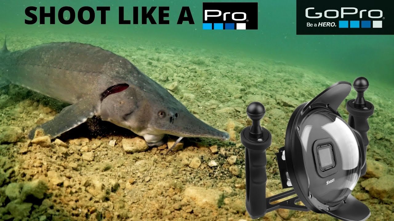 BEST @GOPRO UNDERWATER LIGTHS 2021 & RIG & DOME PORT - YouTube