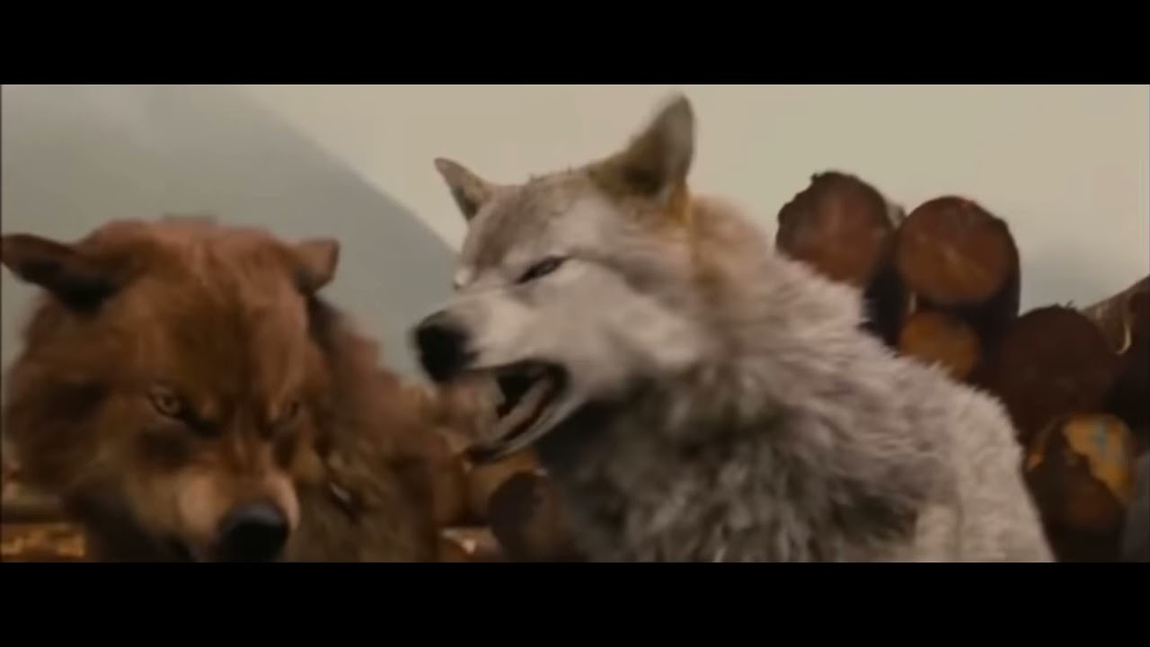 Twilight wolves- battlefield - YouTube