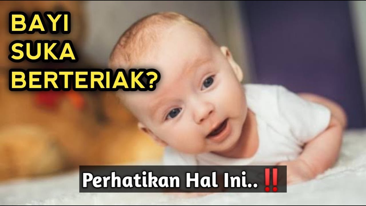 Alasan Bayi Suka Berteriak-teriak dan Hal yang Harus Diperhatikan - YouTube