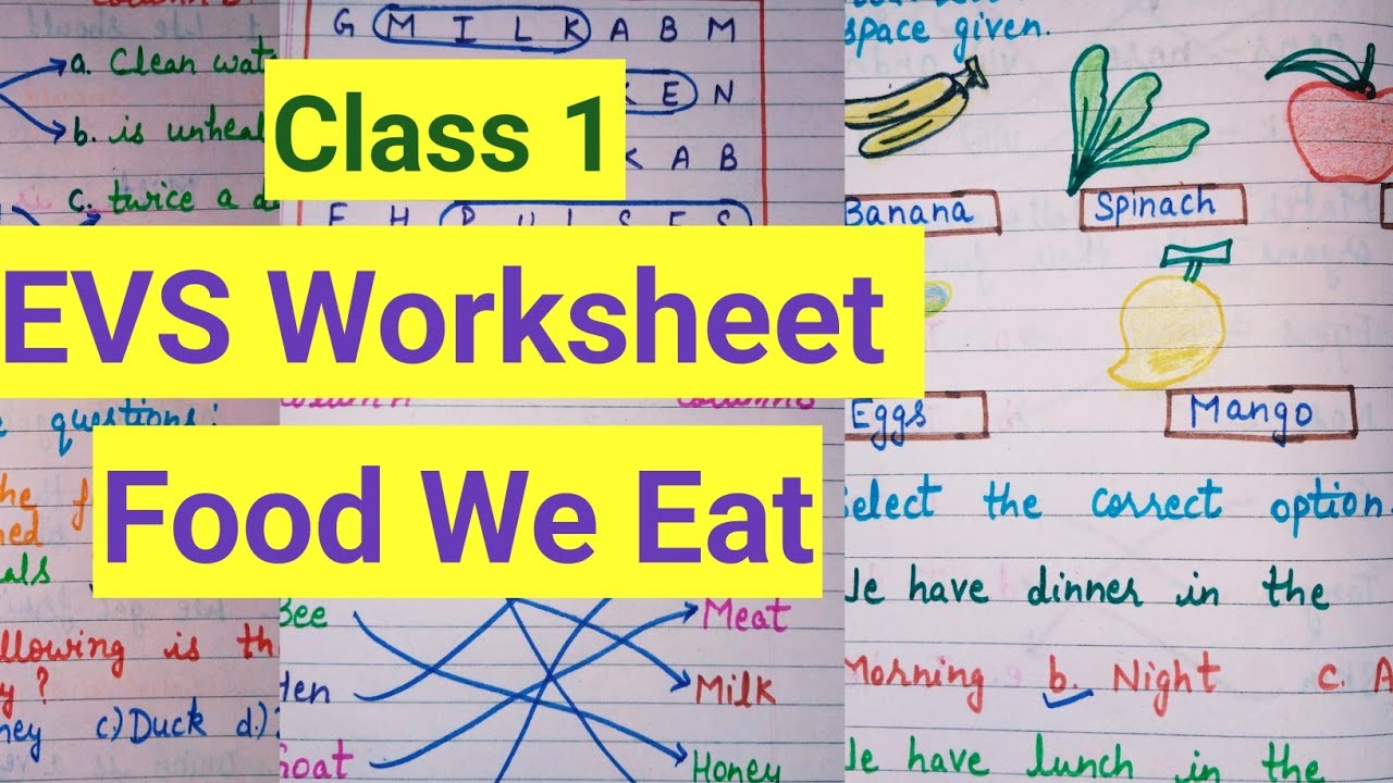 class 1 evs chapter food we eat | class 1 evs worksheet | grade 1 - YouTube