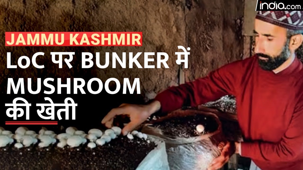 LOC Mushroom Farming: Uri में Loc के पास Bunker में हो रही Mushroom की ...