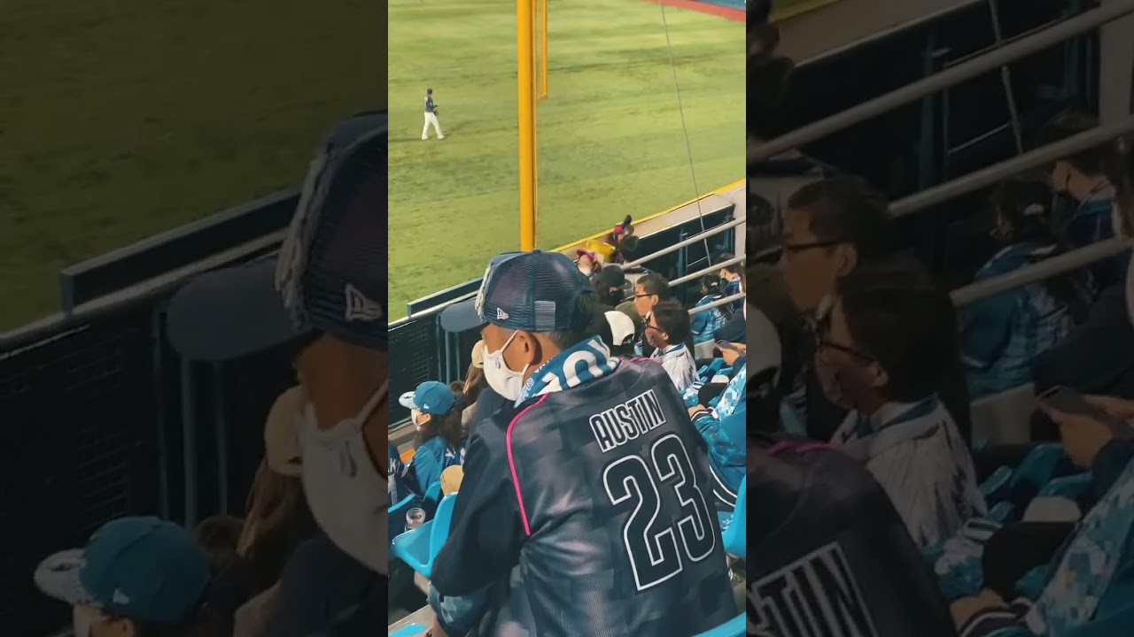 Baseball in Japan ⚾️ servers run around with beer kegs and serve you ...