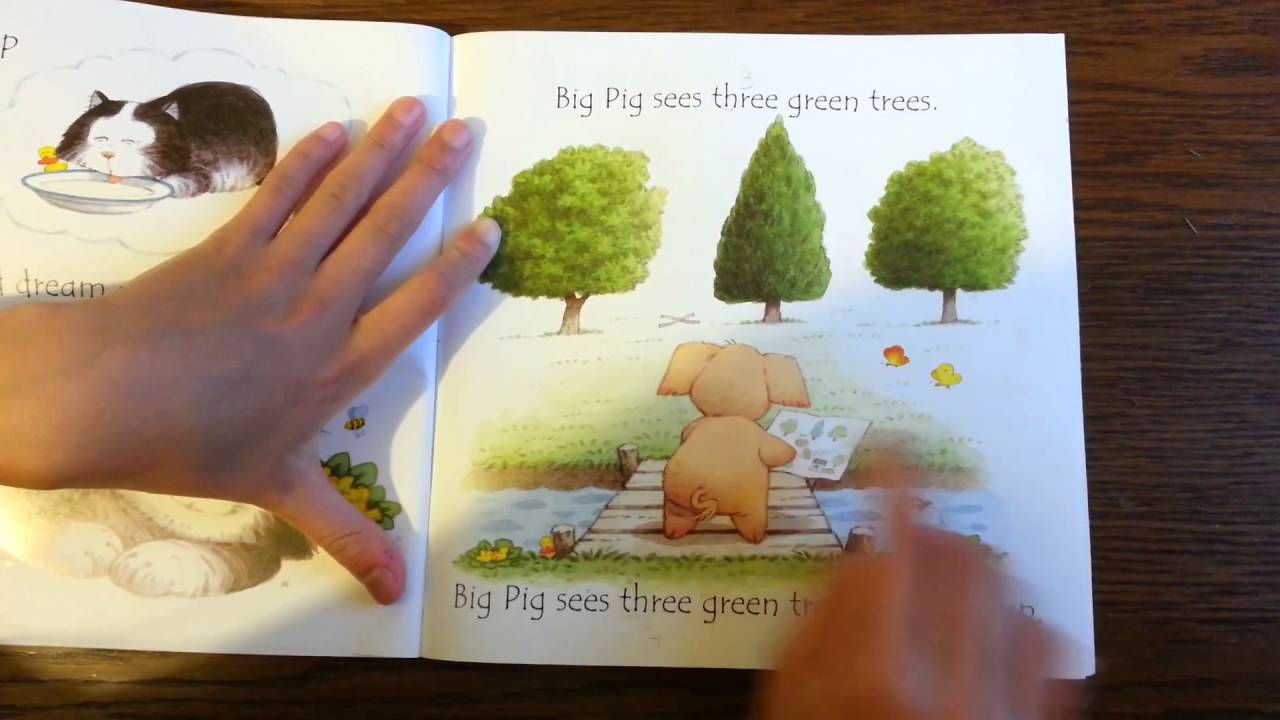 Phonics Readers: Big Pig on a Dig- Laura reads along with a perfect ...