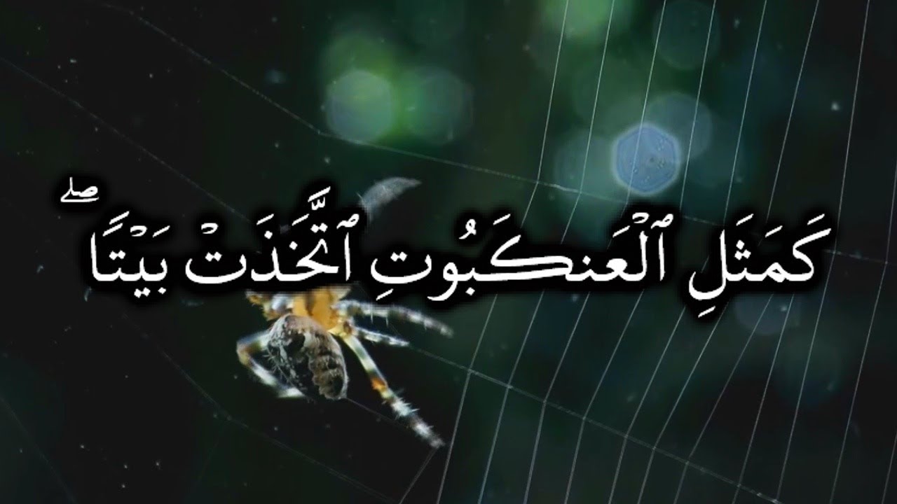 مثل الذين اتخذوا من دون الله أولياء كمثل العنكبوت اتخذت بيتا للشيخ