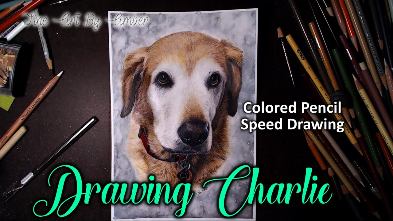 Drawing Charlie (Speed Drawing) - YouTube
