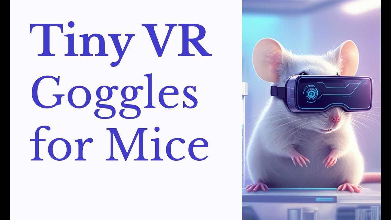 Tiny VR Headsets Revolutionize Mouse Research - YouTube